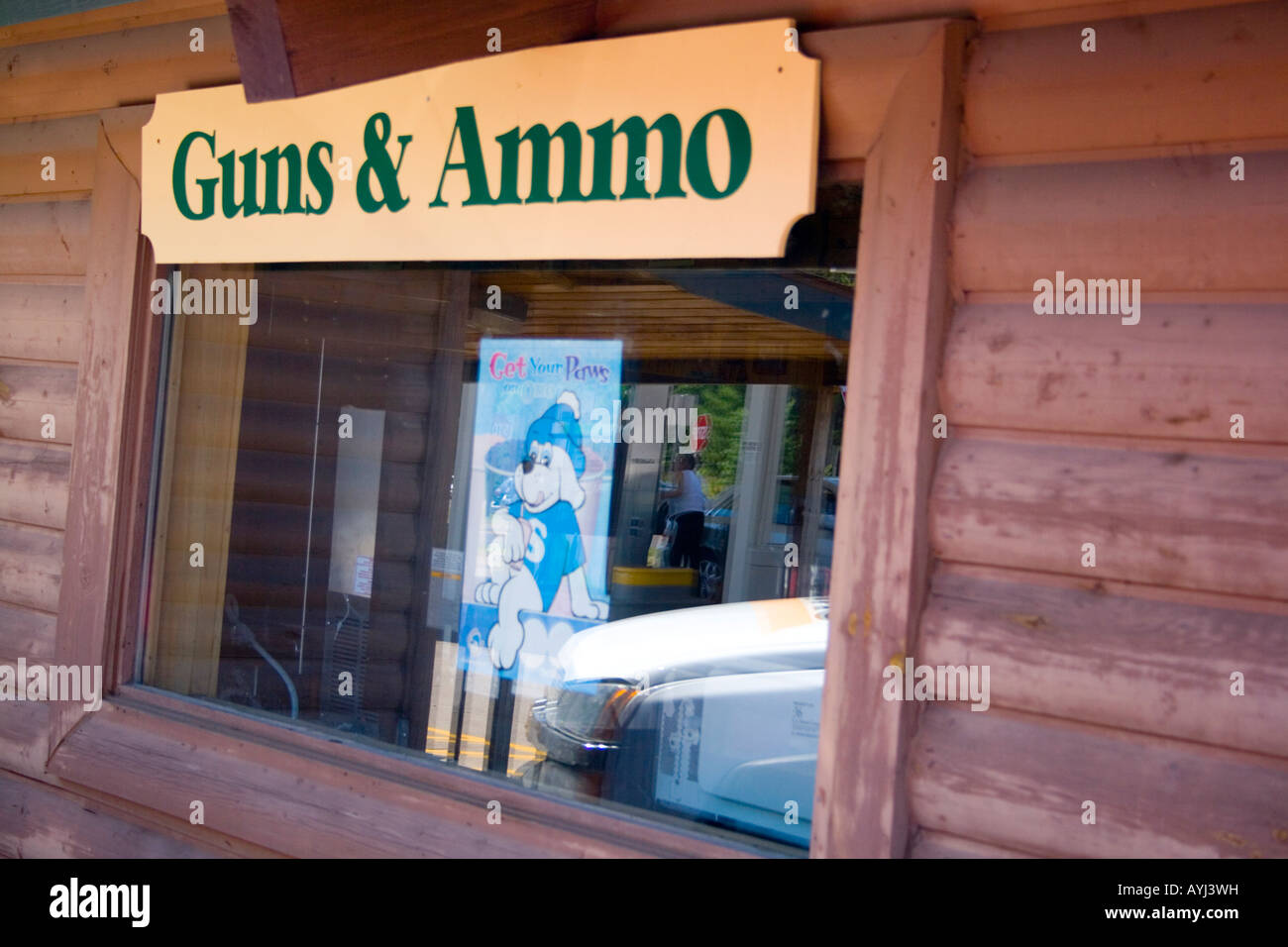 Sign in shop window advertising Guns & Ammo. Danbury Wisconsin USA ...