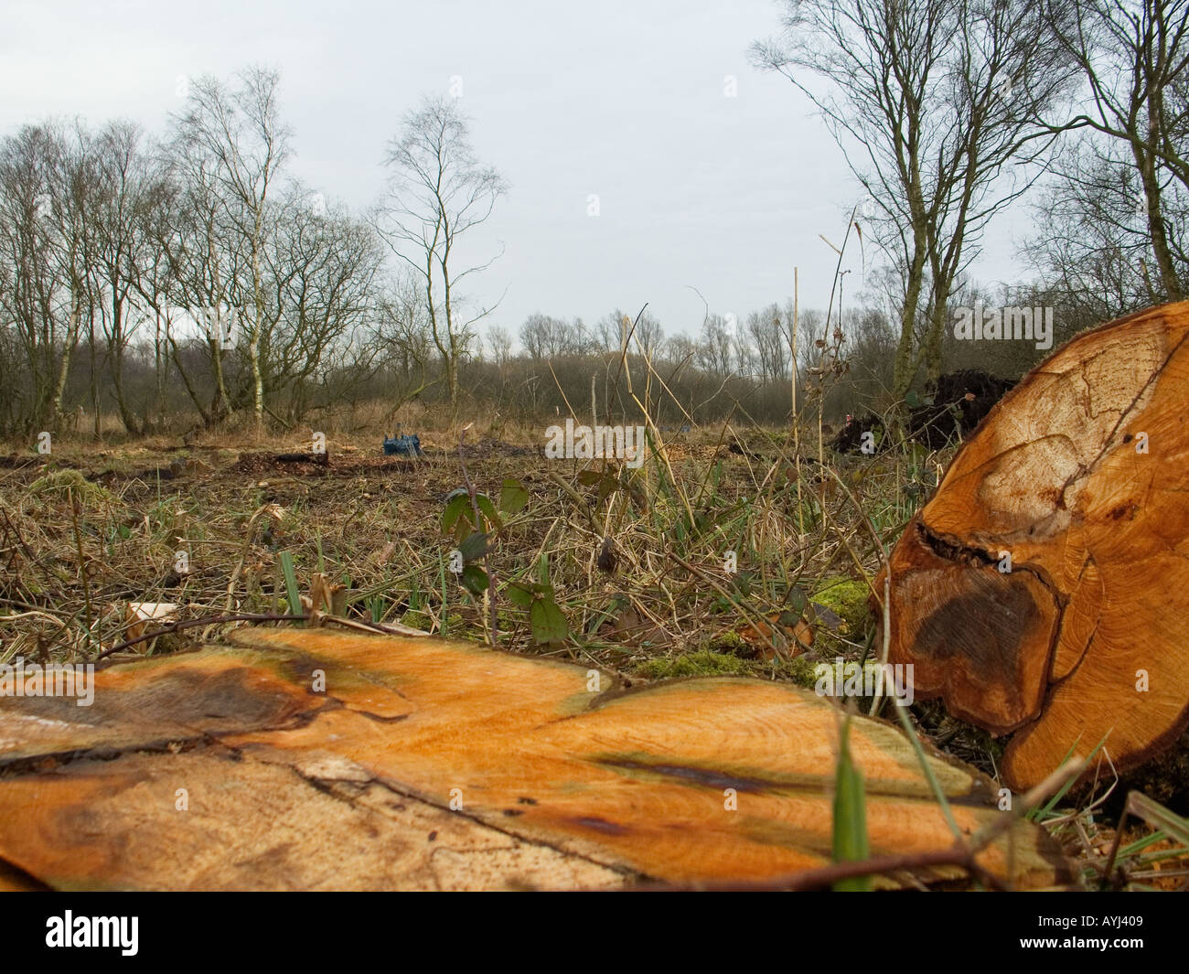 Environment land management scheme hi-res stock photography and images ...