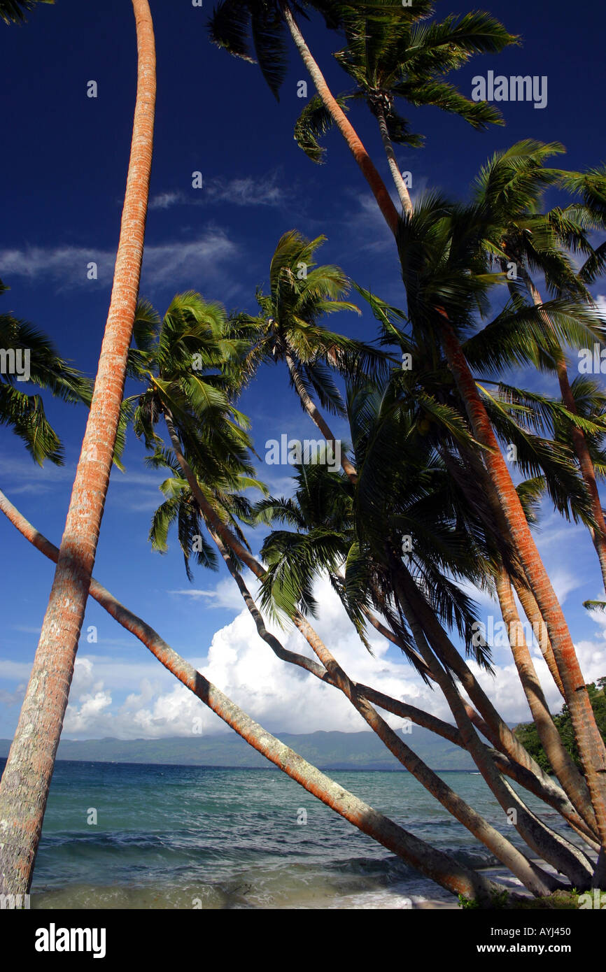 On island vanua levu hi-res stock photography and images - Alamy