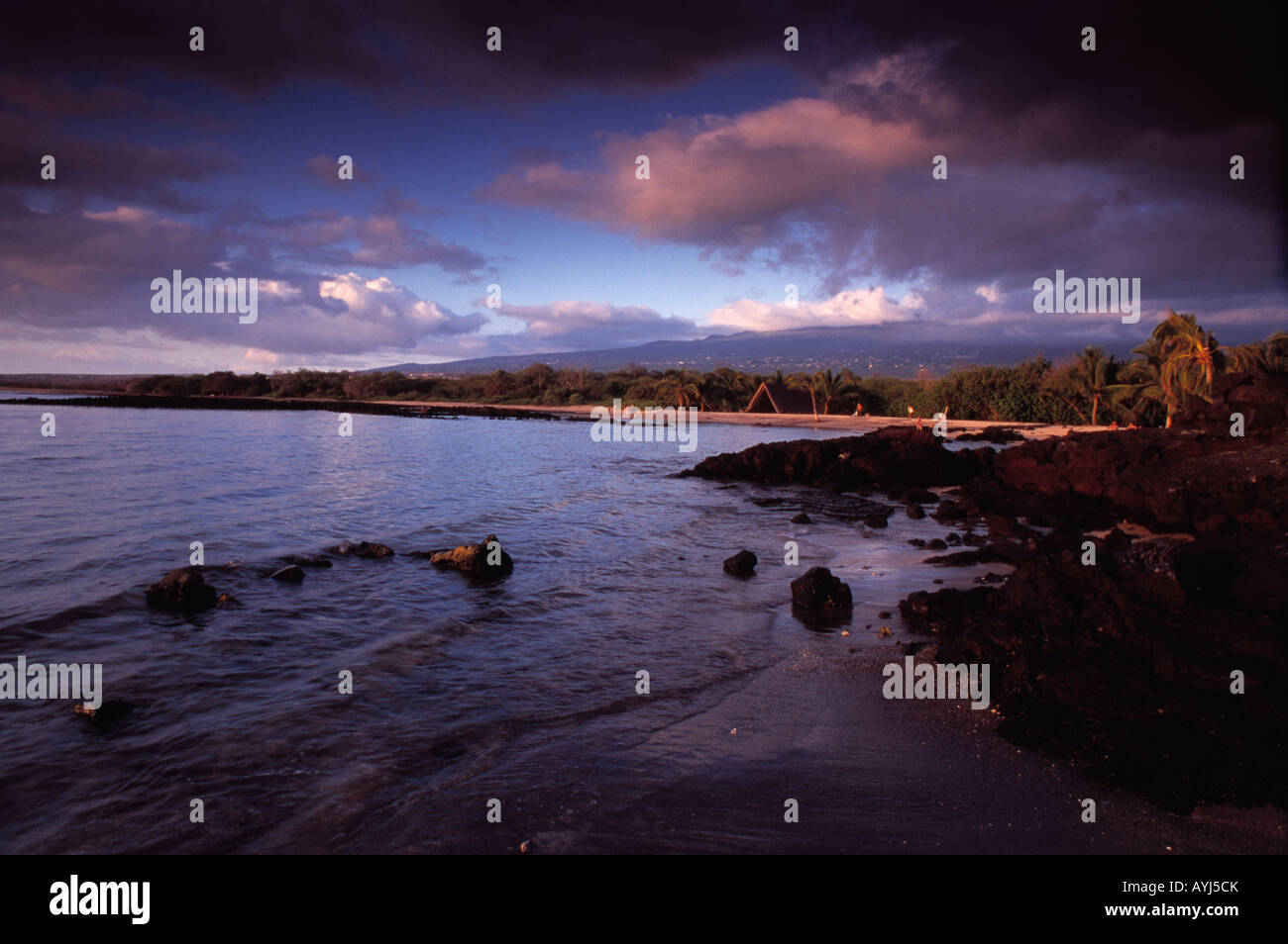 Holualoa hawaii island hi-res stock photography and images - Alamy