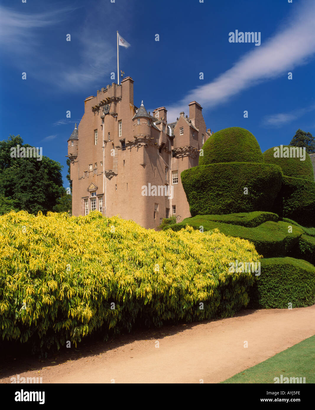 Yew topiary crathes castle hi-res stock photography and images - Alamy
