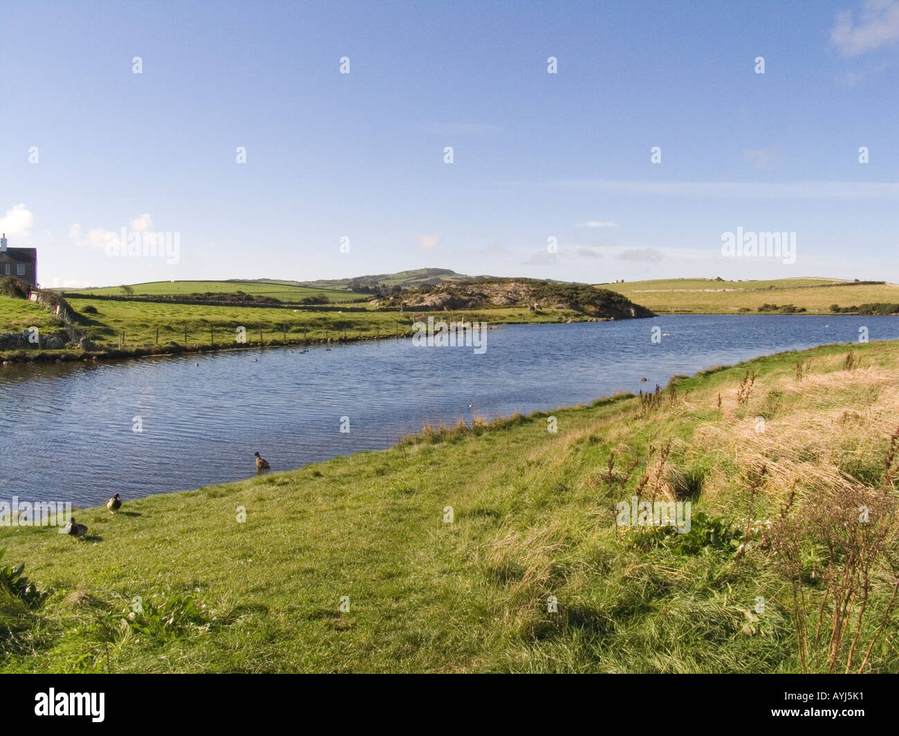 Cemlyn bay anglesey north wales hi-res stock photography and images - Alamy