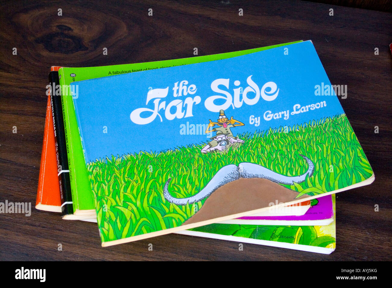 Gary larson cartoon hi-res stock photography and images - Alamy