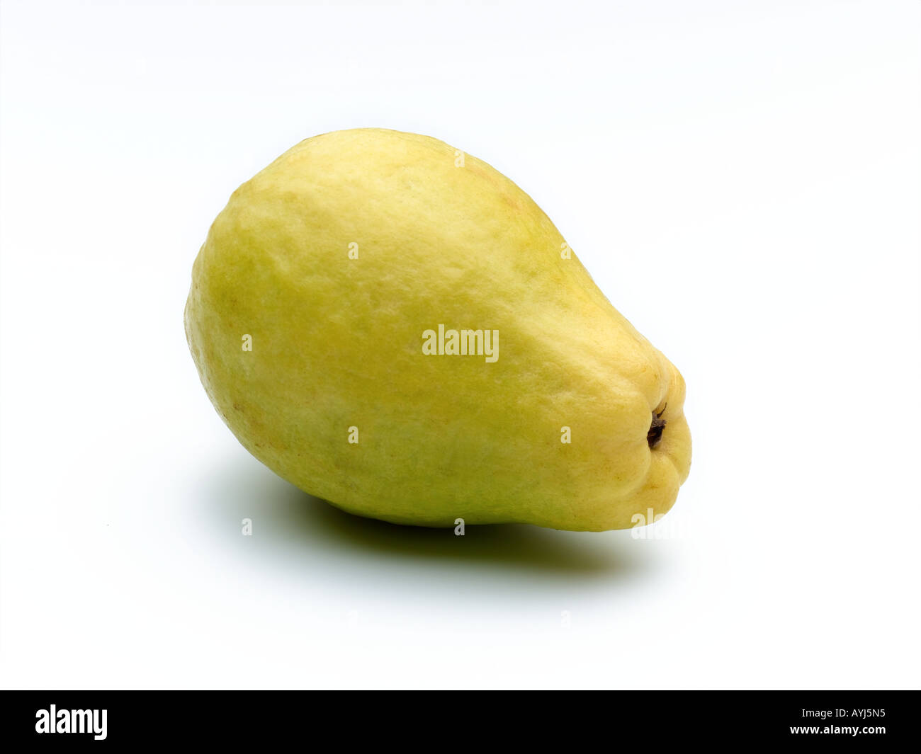 Guava hi-res stock photography and images - Alamy