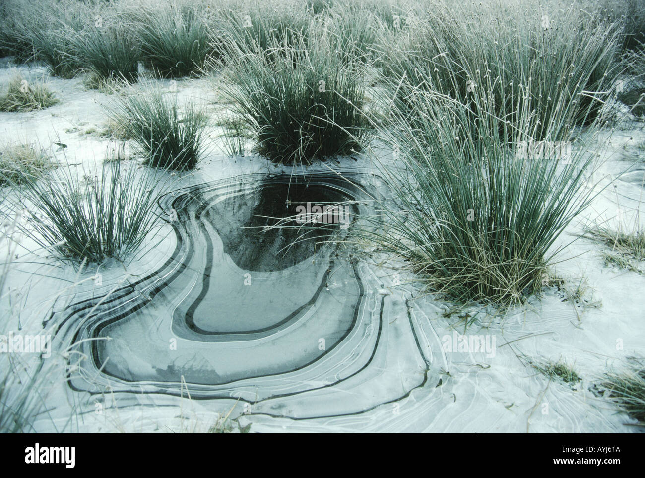 Frozen pools Scotland Stock Photo - Alamy