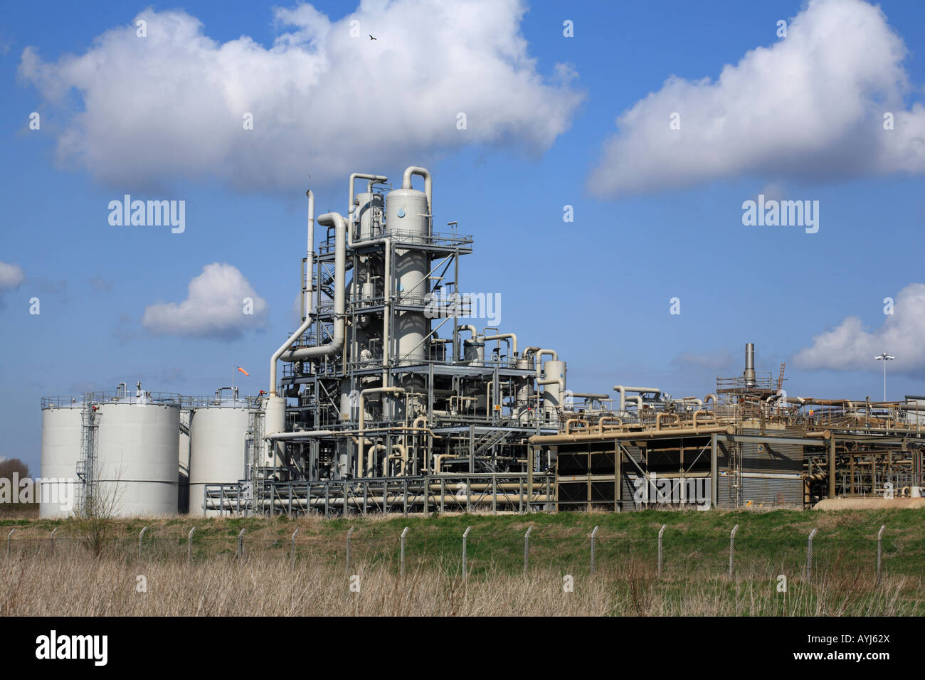 Bioethanol plant at British Sugar's site at Wissington, Norfolk Stock ...