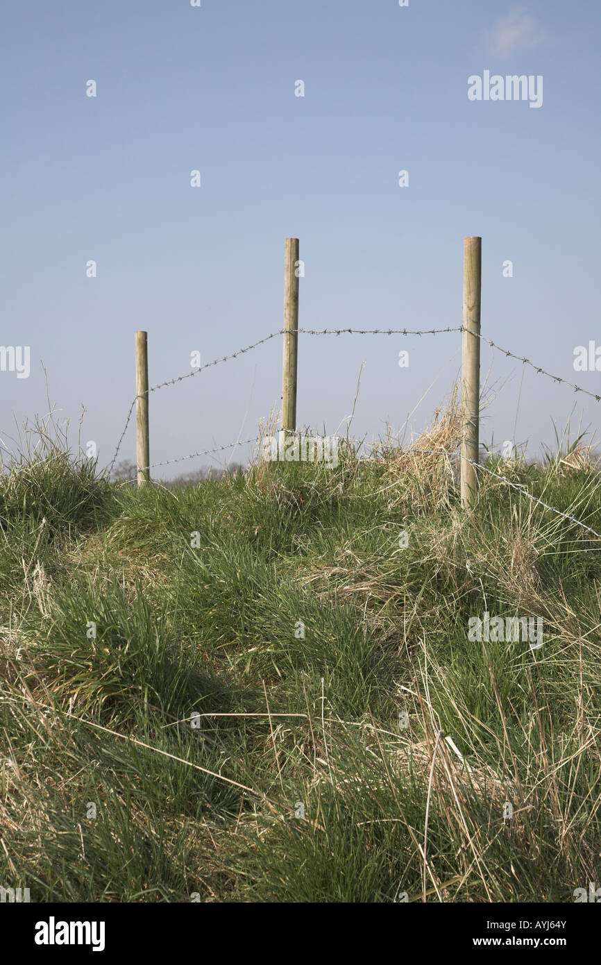 Barbed wire fence against grass hi-res stock photography and images - Alamy