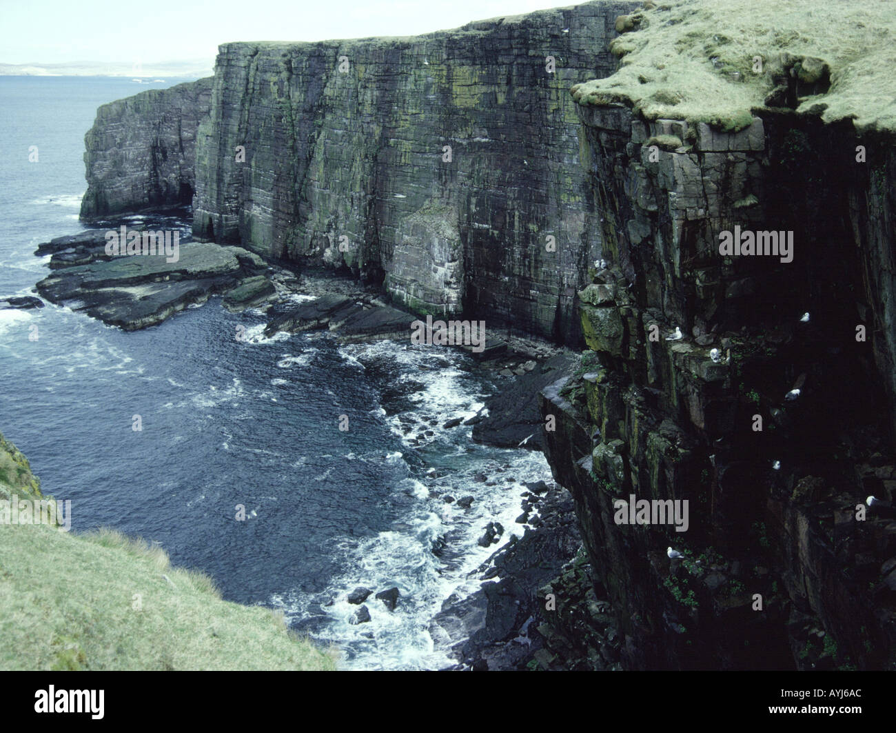 Cliffs of Handa Island Sutherland Scotland UK Stock Photo - Alamy