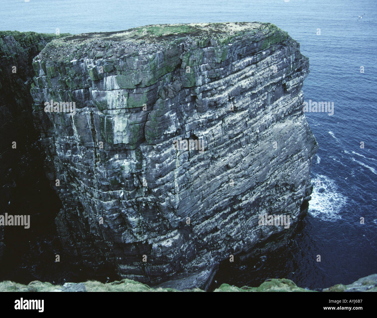Cliffs of Handa Island Sutherland Scotland UK Stock Photo - Alamy