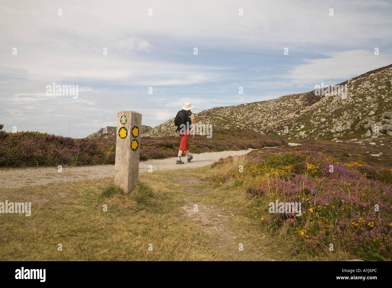My lady of the heather hi-res stock photography and images - Alamy