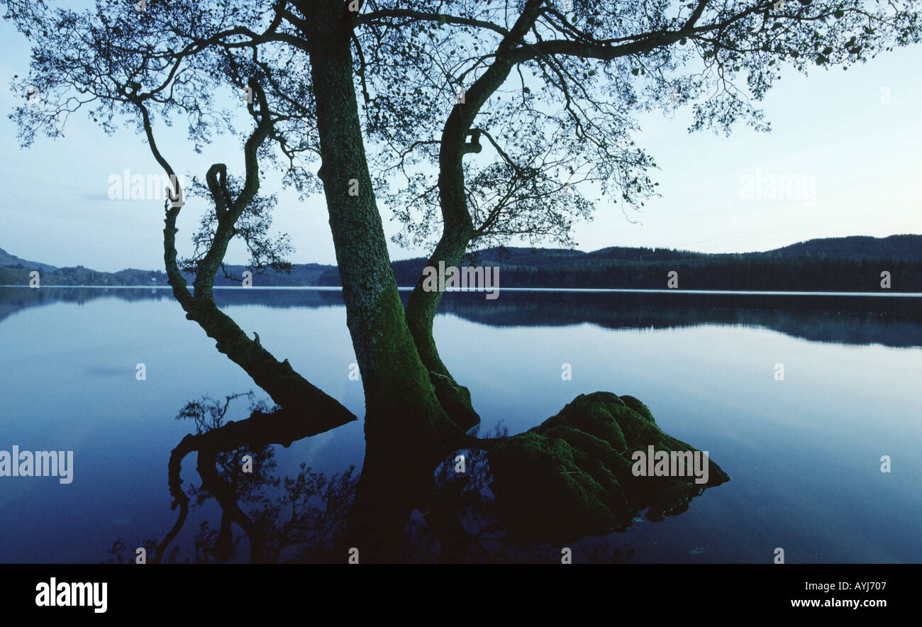 Loch Ard Stirlingshire Scotland UK Stock Photo - Alamy