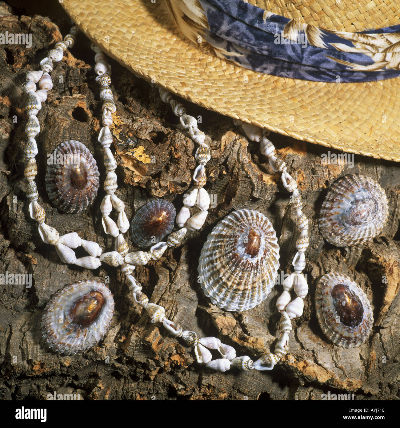 Shells and shell necklaces and a Hawaiian hat on a tree trunk Stock ...