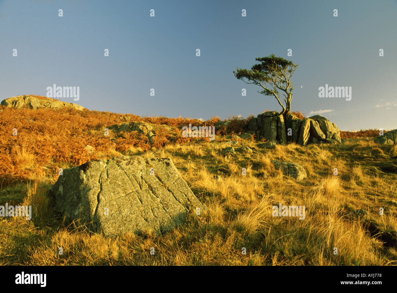 Lake District moors Cumbria England Stock Photo - Alamy