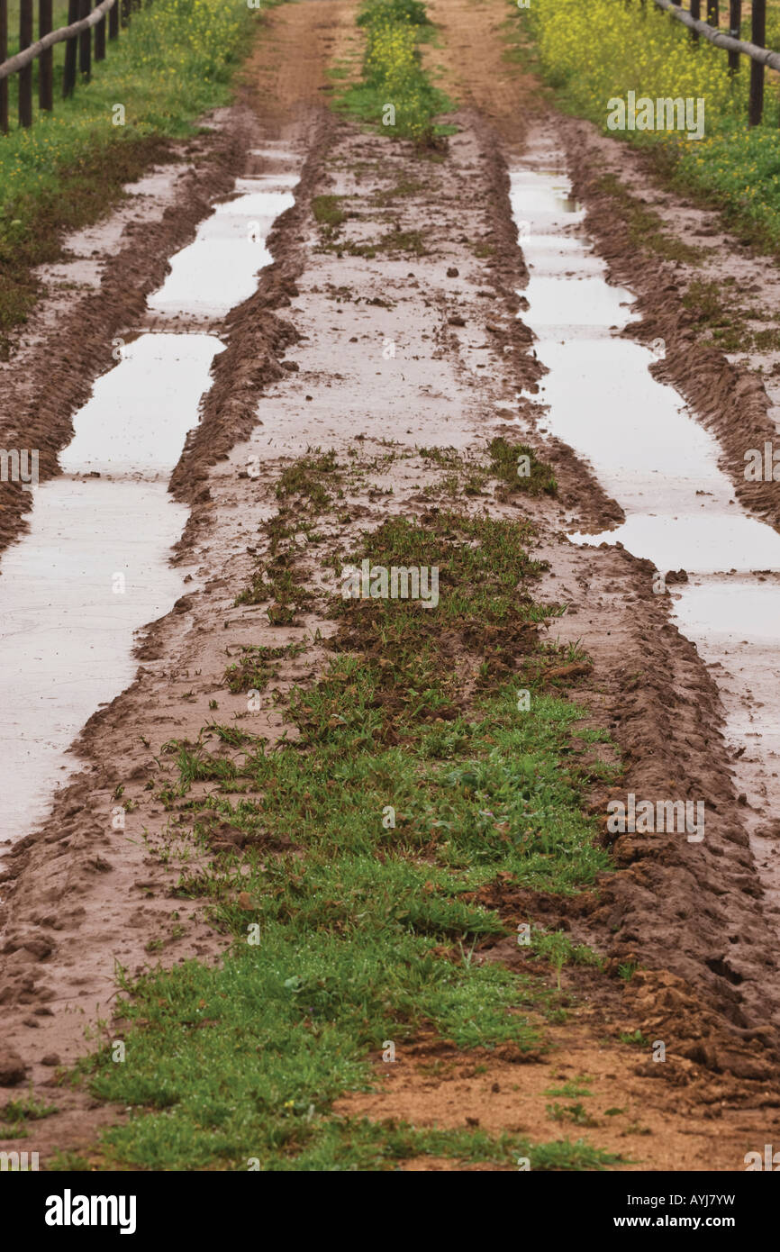 Muddy rural track hi-res stock photography and images - Alamy
