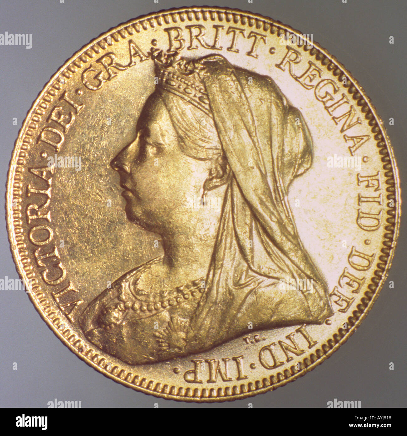 Victorian gold sovereign with old head portrait Stock Photo - Alamy