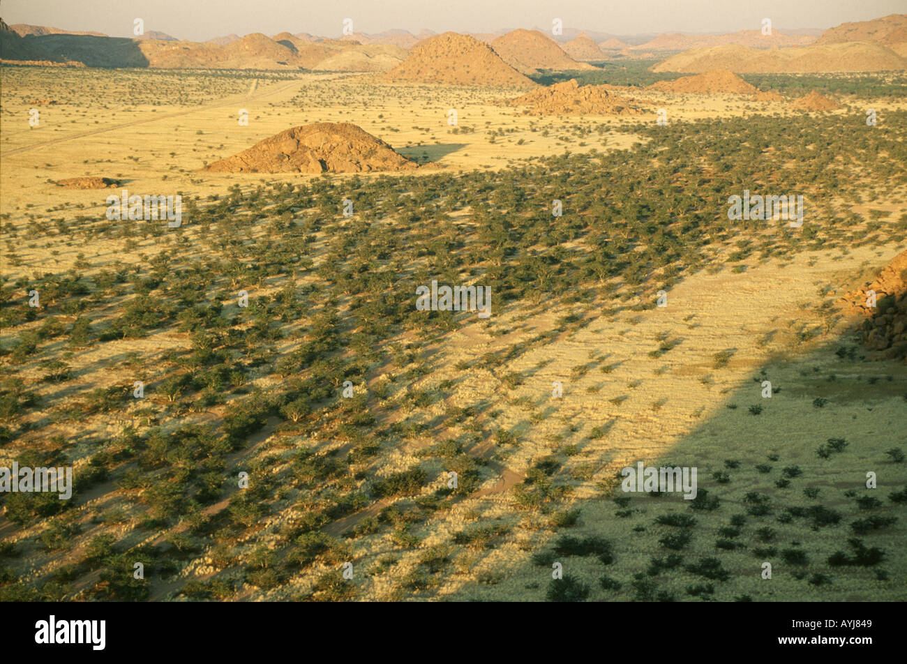 View of desert and scrub Damaraland Namibia Africa Stock Photo - Alamy