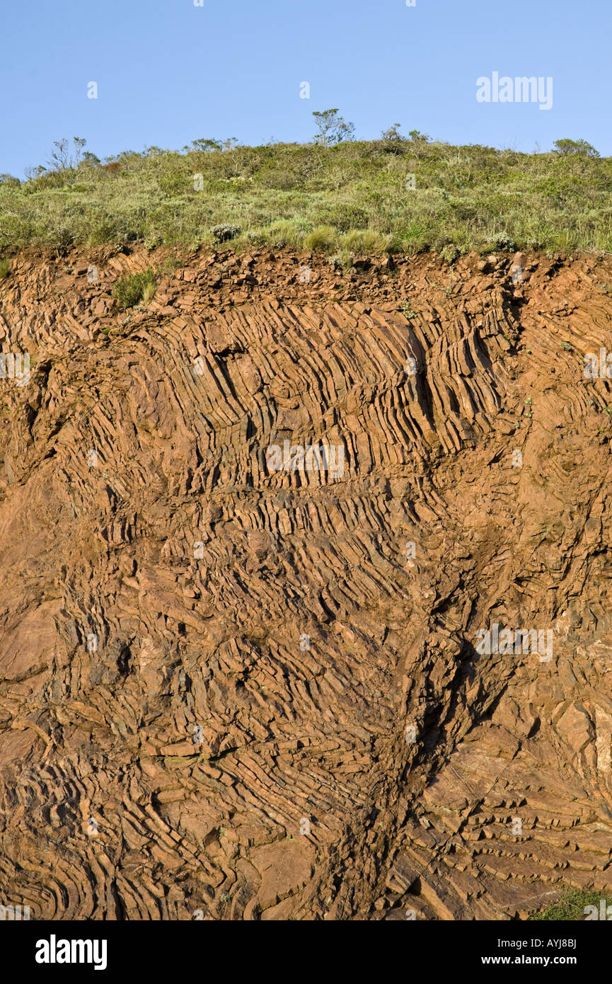 Folded ribbon chert near the Golden Gate Bridge Stock Photo - Alamy