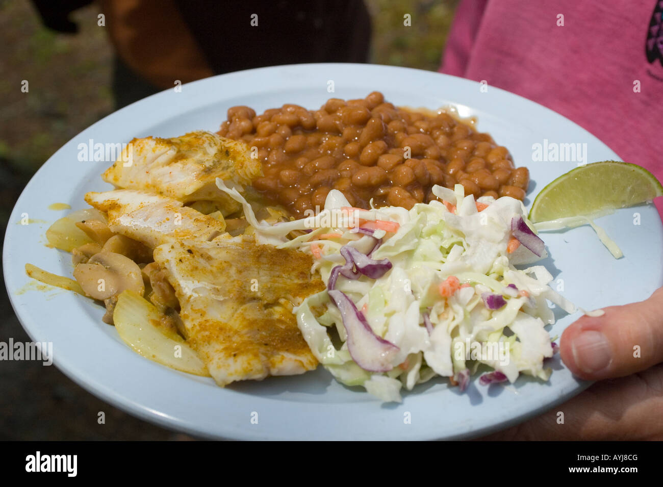 Plate of food Stock Photo - Alamy