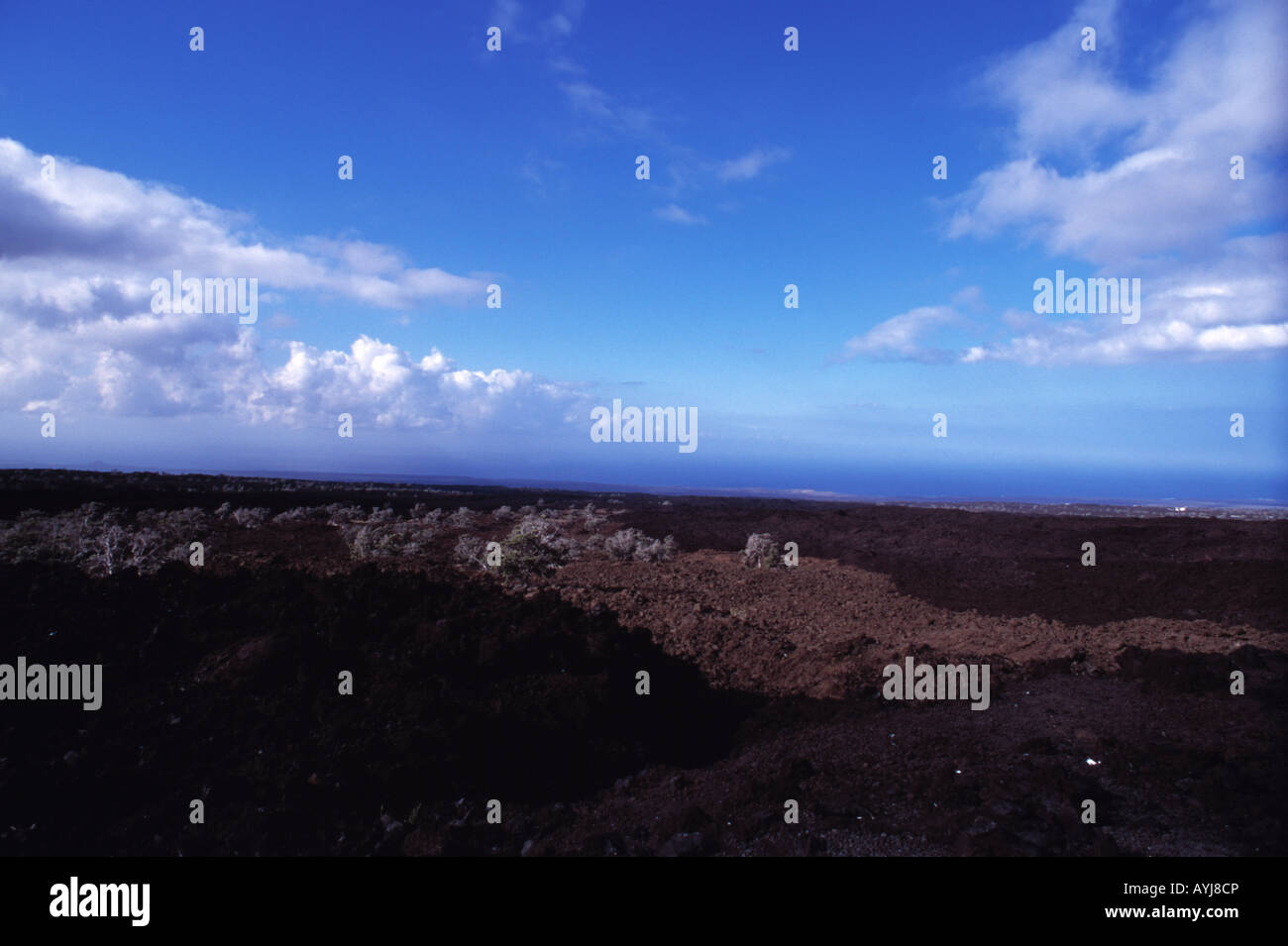 Lava fields at Hawaii (big Island) Manuka state park Stock Photo - Alamy