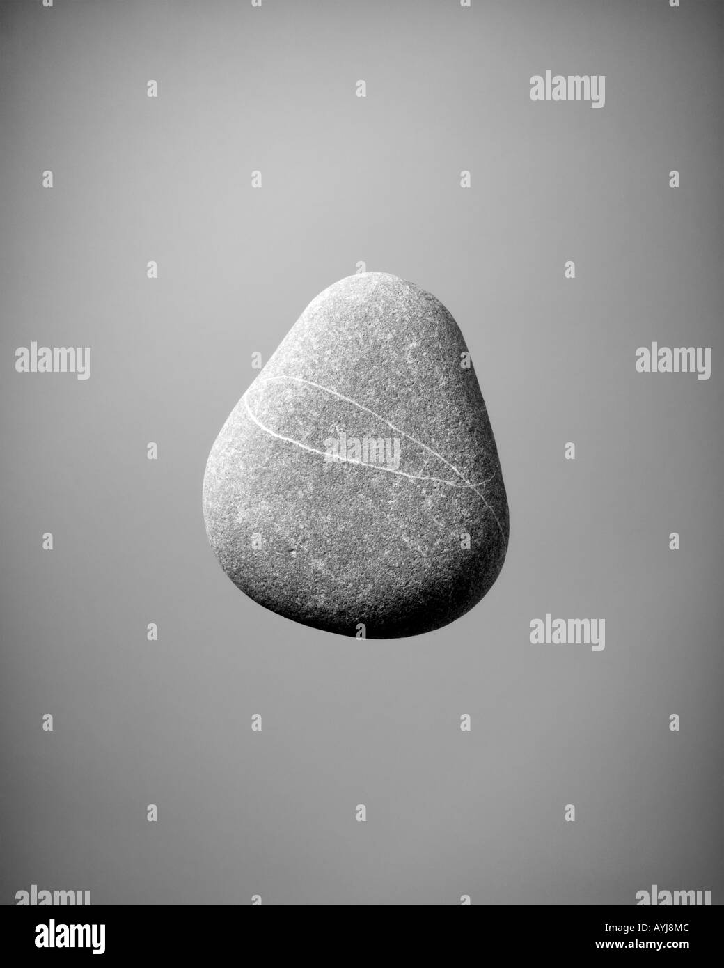 Simple life forms hi-res stock photography and images - Alamy