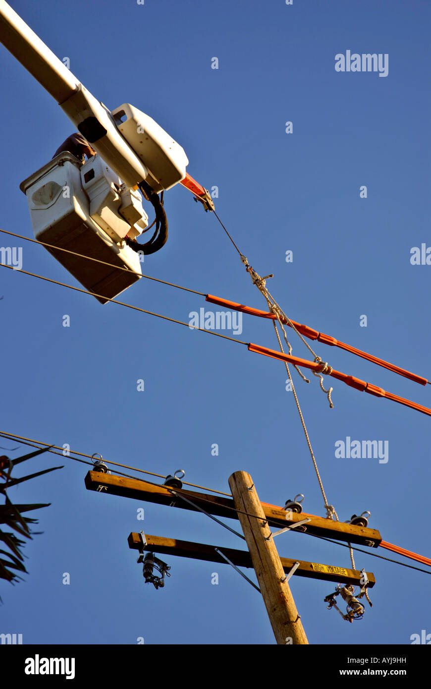 Boom crane secures power lines with a rope after being removed from a ...