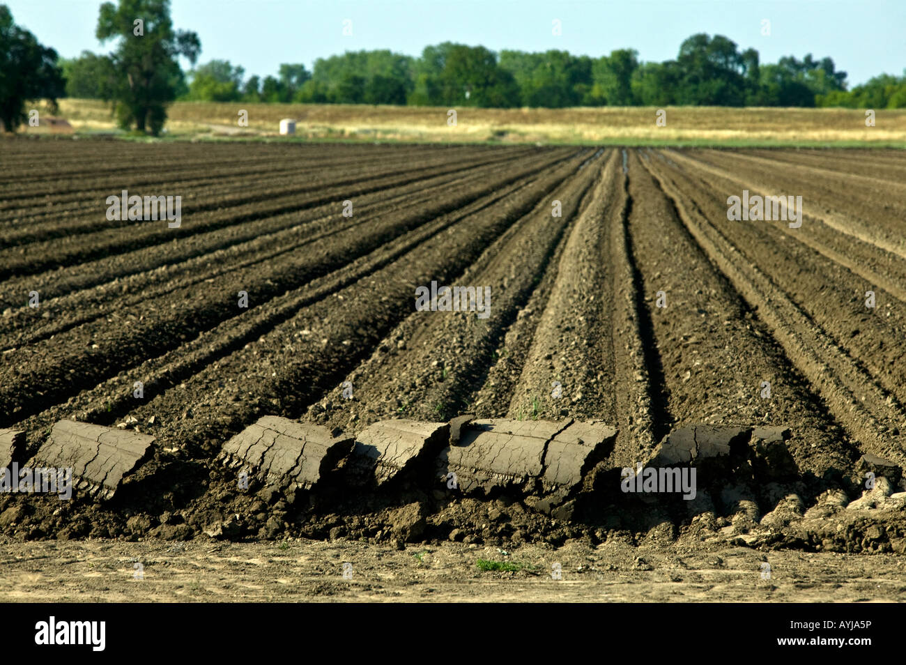 Harrowed soil hi-res stock photography and images - Alamy