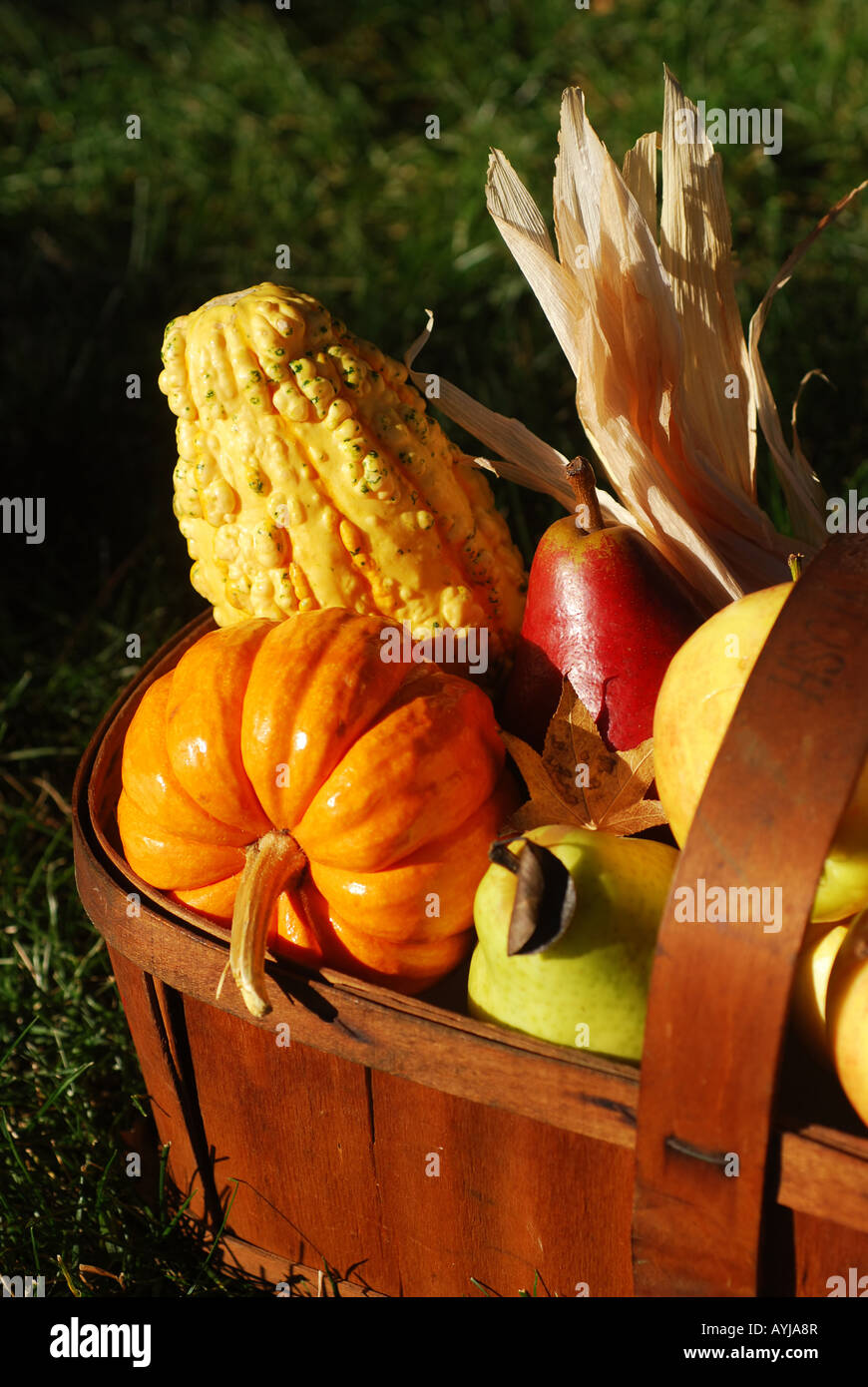 Vintage wooden fruit basket filled with autumn fruits and vegetables ...