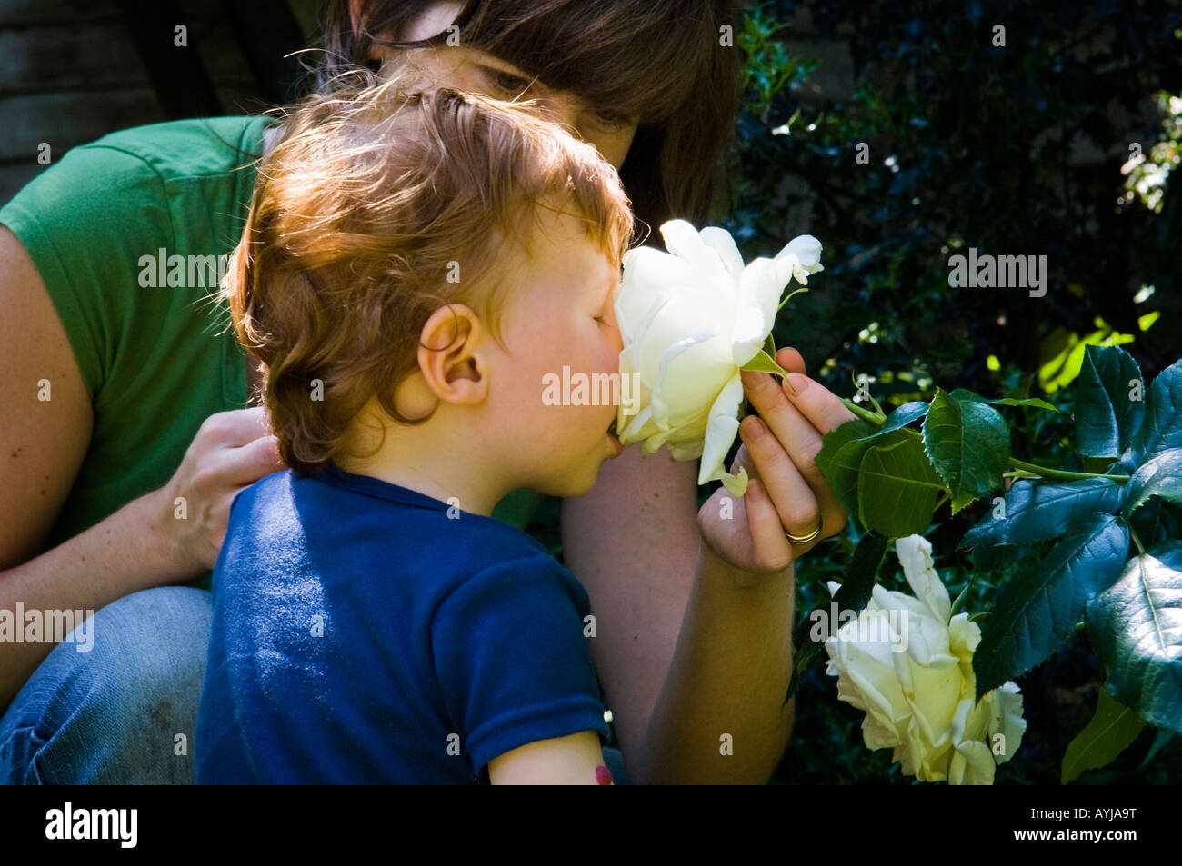 Toddler sniff smell flower hi-res stock photography and images - Alamy