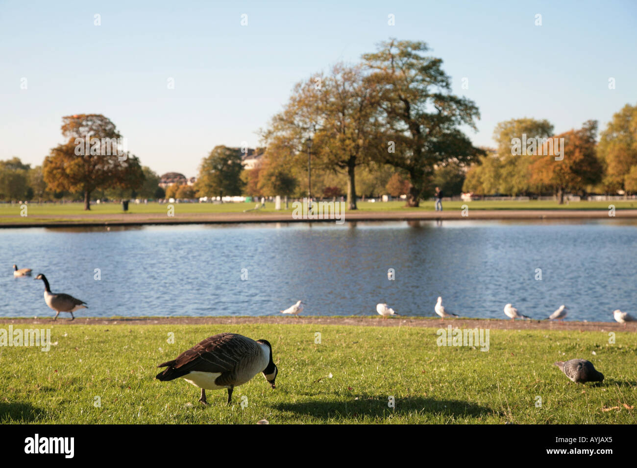At clapham common hi-res stock photography and images - Alamy