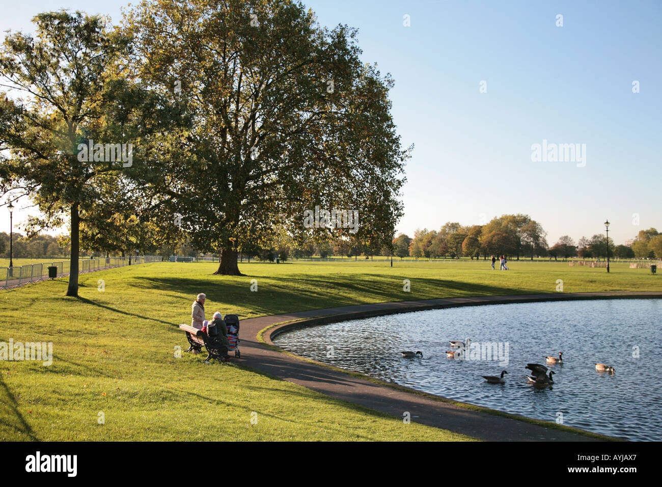 Lake at Clapham Common Stock Photo - Alamy