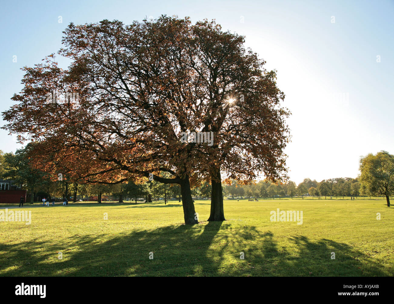 Pond clapham common hi-res stock photography and images - Alamy