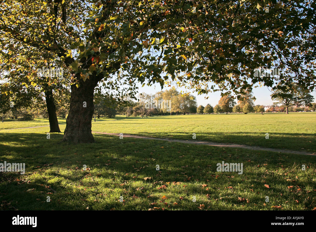 Pond clapham common hi-res stock photography and images - Alamy