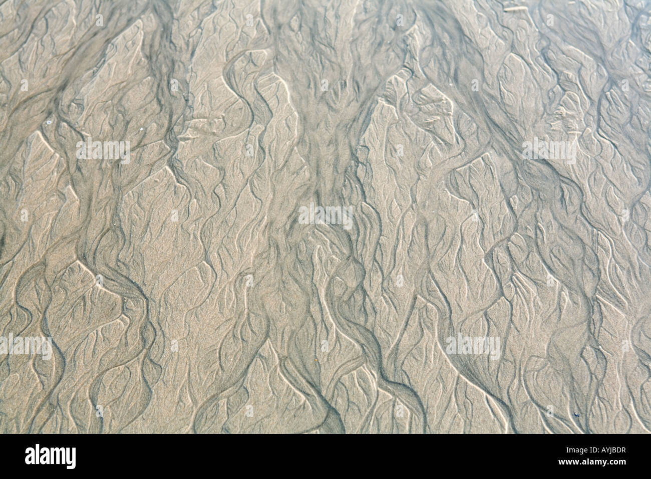 Sand Rivulets Pattern High Resolution Stock Photography and Images - Alamy