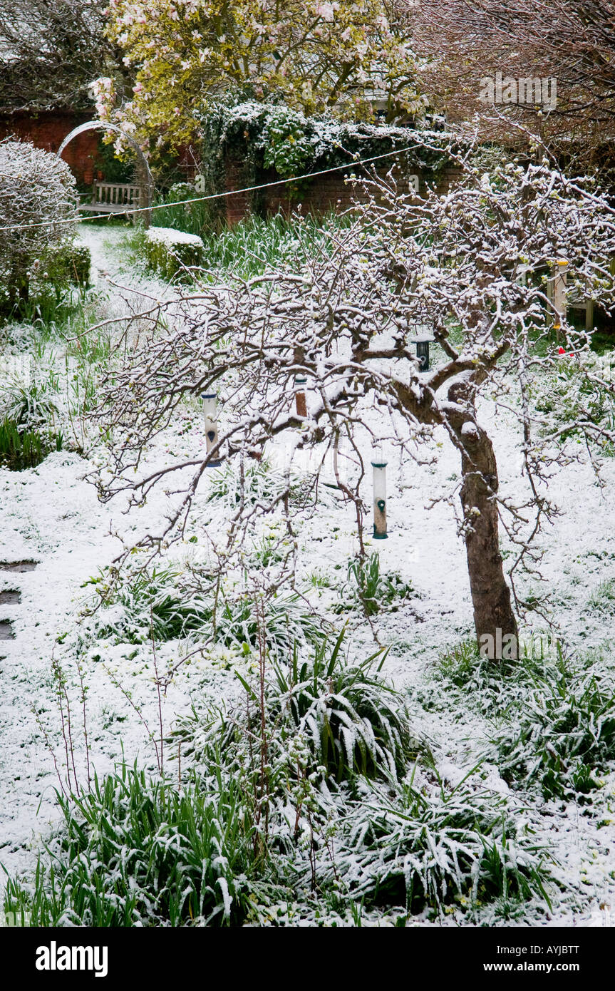Snowy winter garden border hi-res stock photography and images - Alamy