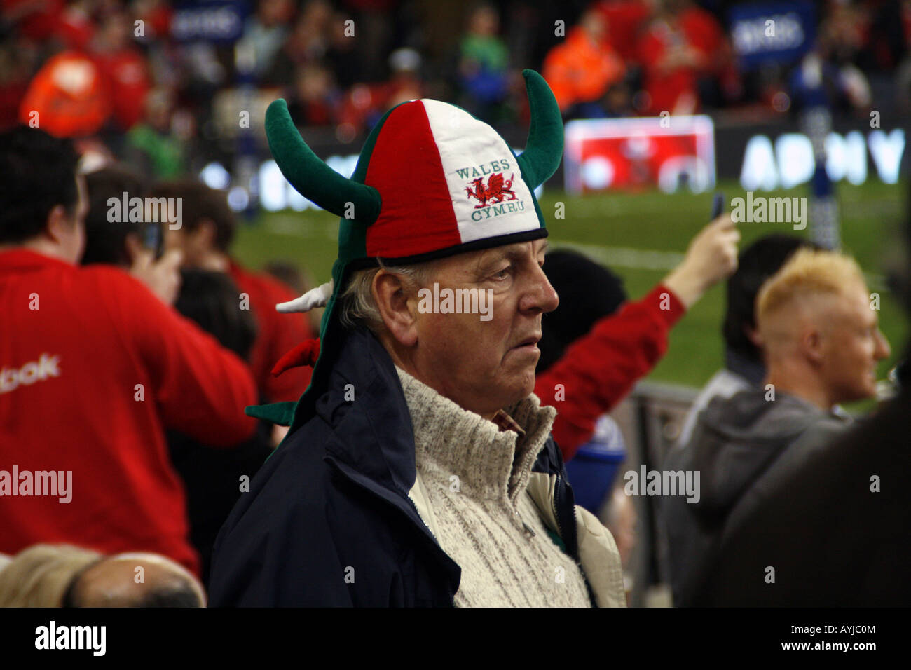 Welsh rugby fan in the Millenium Stadium, Cardiff, Wales during the ...