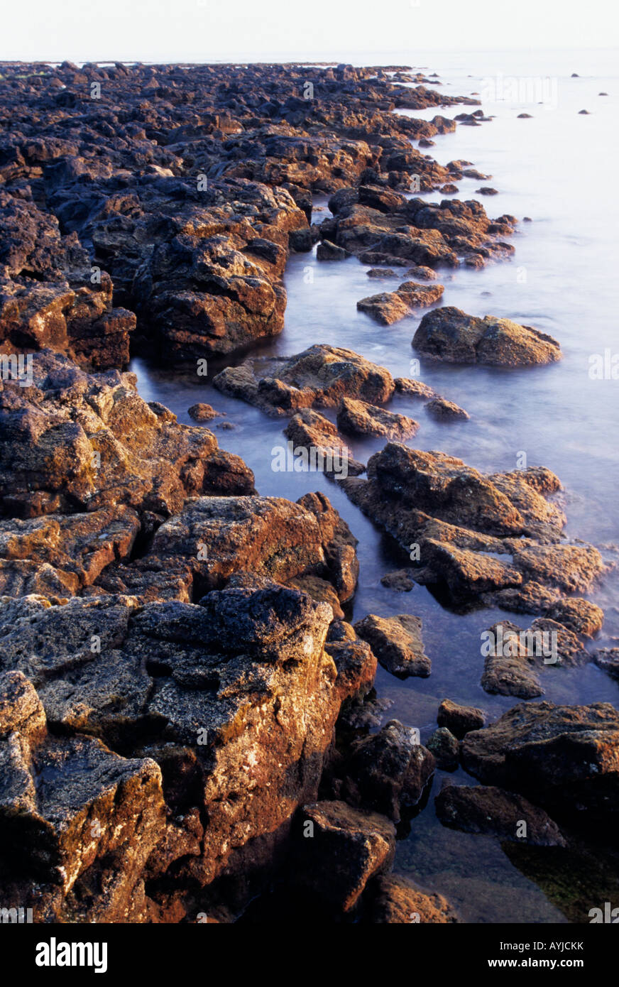 view of beach rocks, Lajes do Pico, Azores, Portugal Stock Photo - Alamy