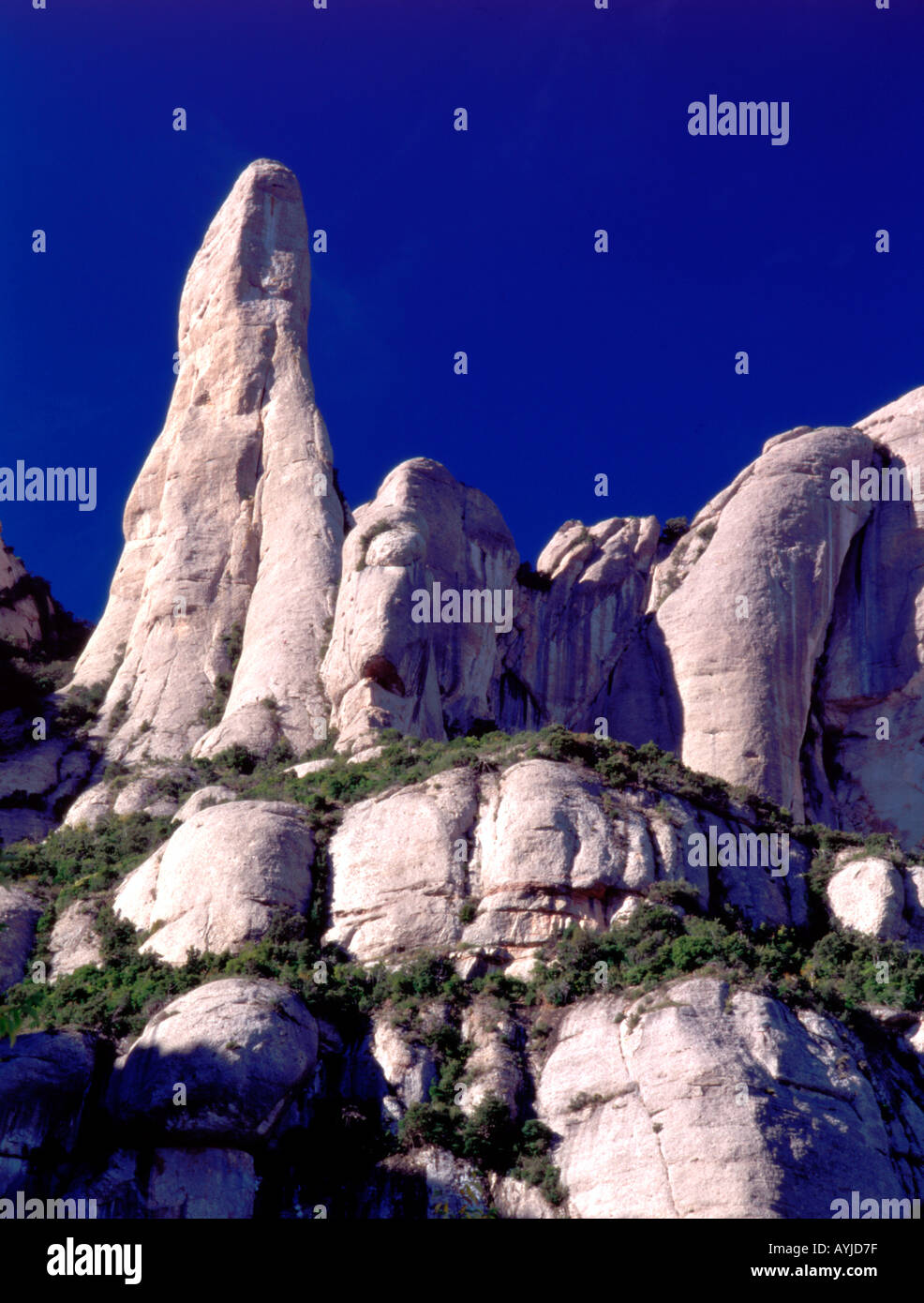 Cavall bernat hi-res stock photography and images - Alamy