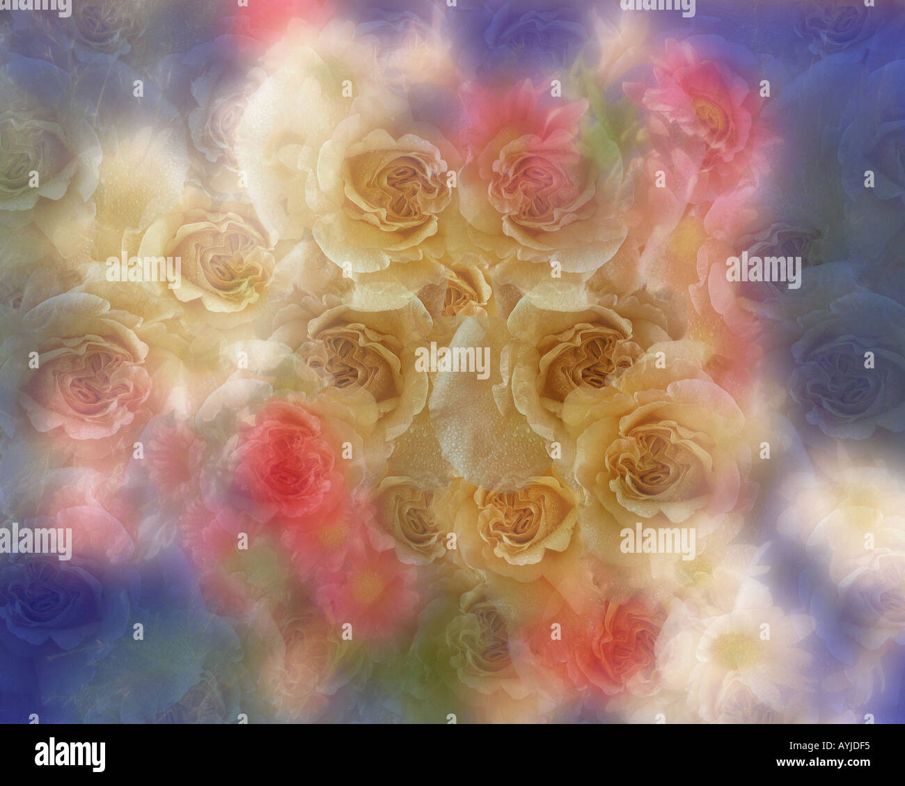 Artistic flower display hi-res stock photography and images - Alamy