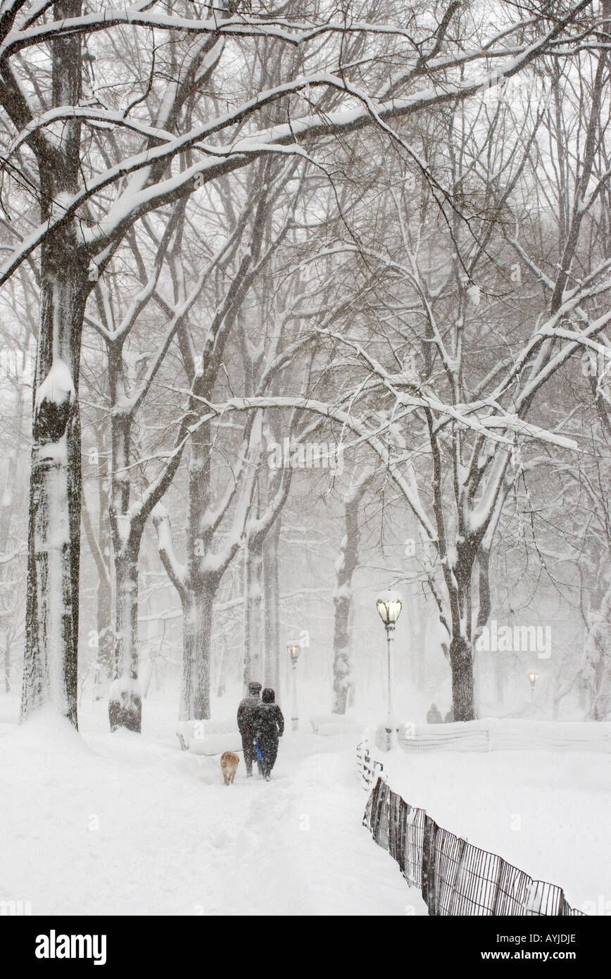 Snowstorm in Central Park, February 2006 Stock Photo - Alamy