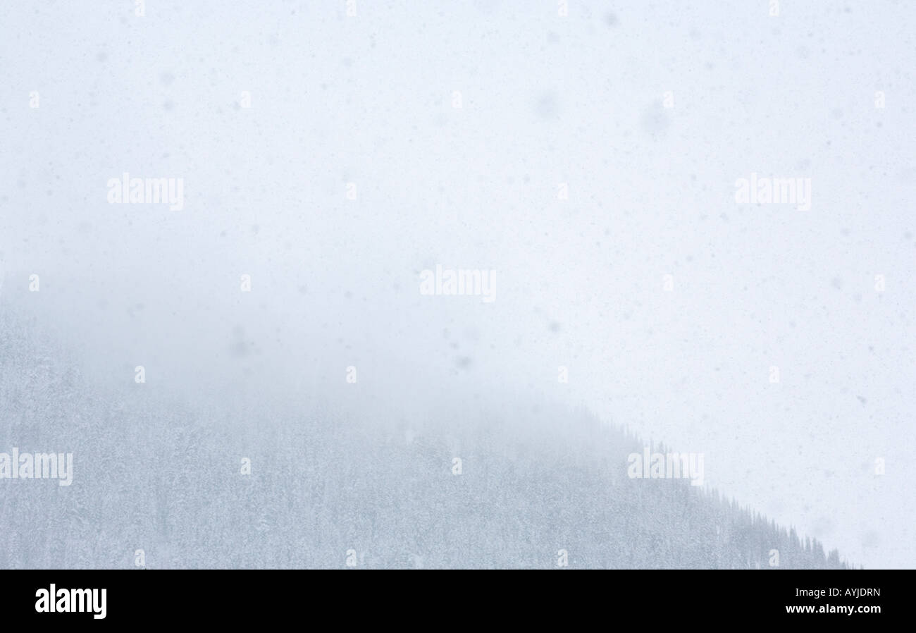 Falling snow in the sky above a tree lined ridge in the central ...