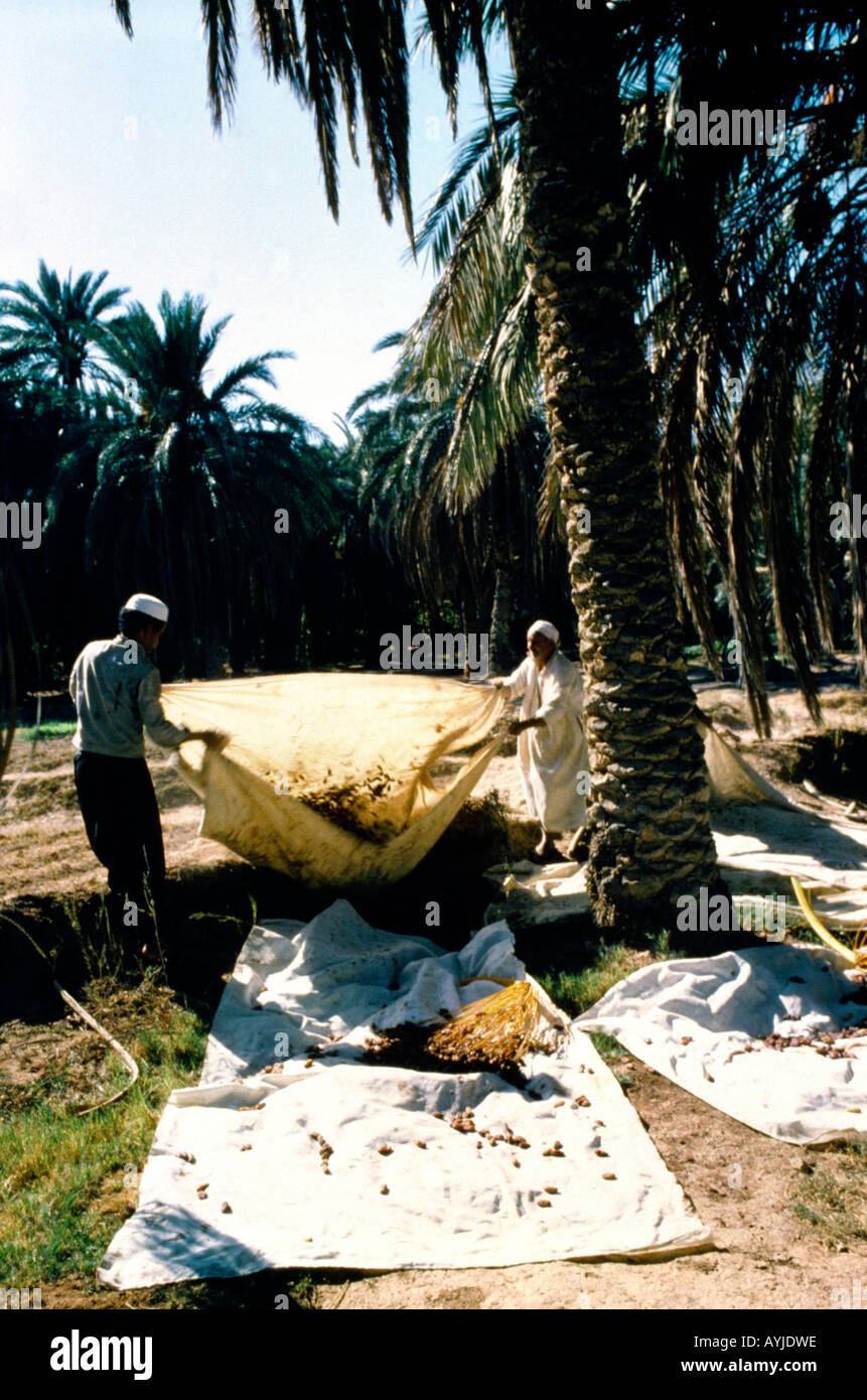 Zab hi-res stock photography and images - Alamy