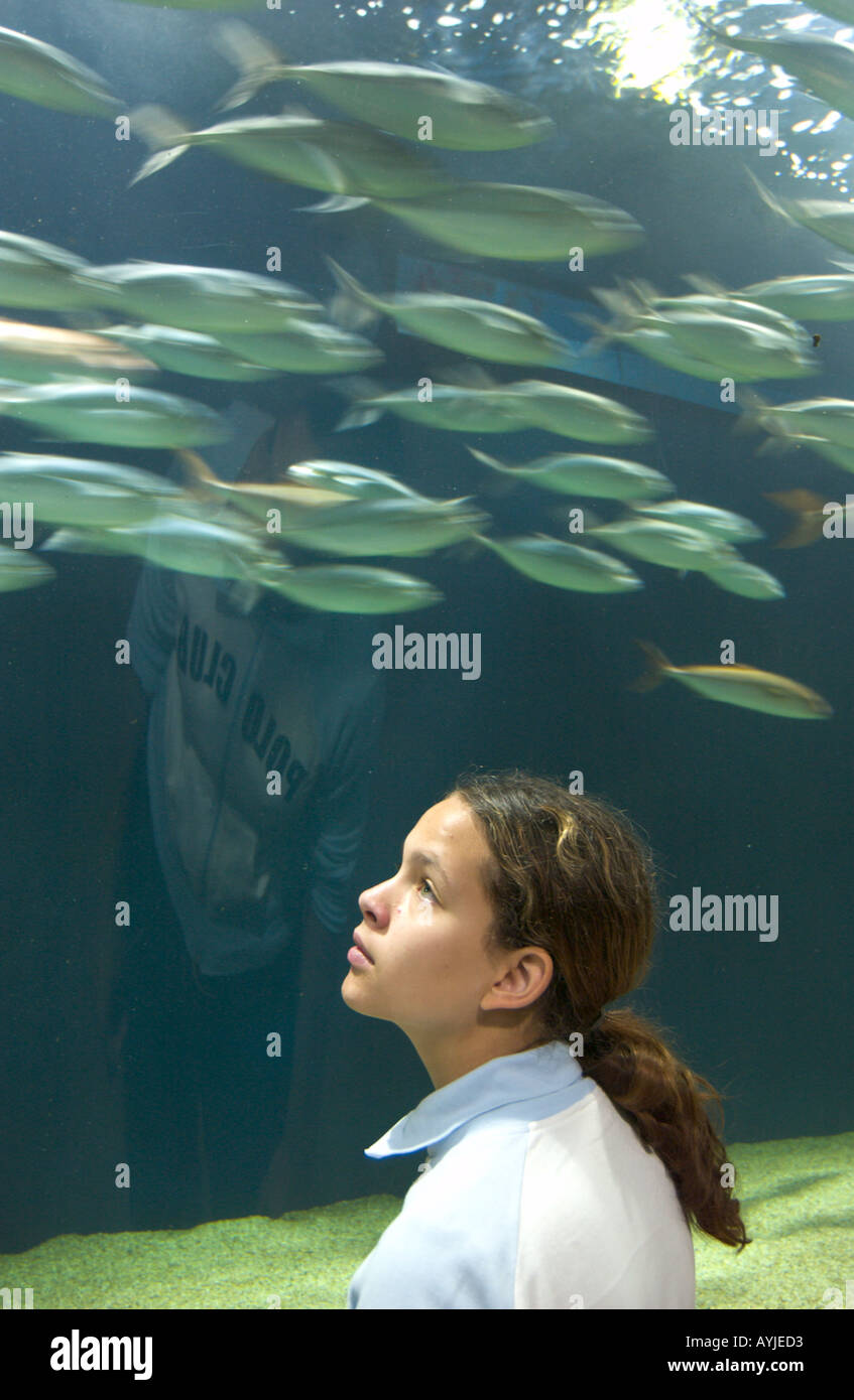 Girl looking at fish in huge Aquarium Stock Photo - Alamy