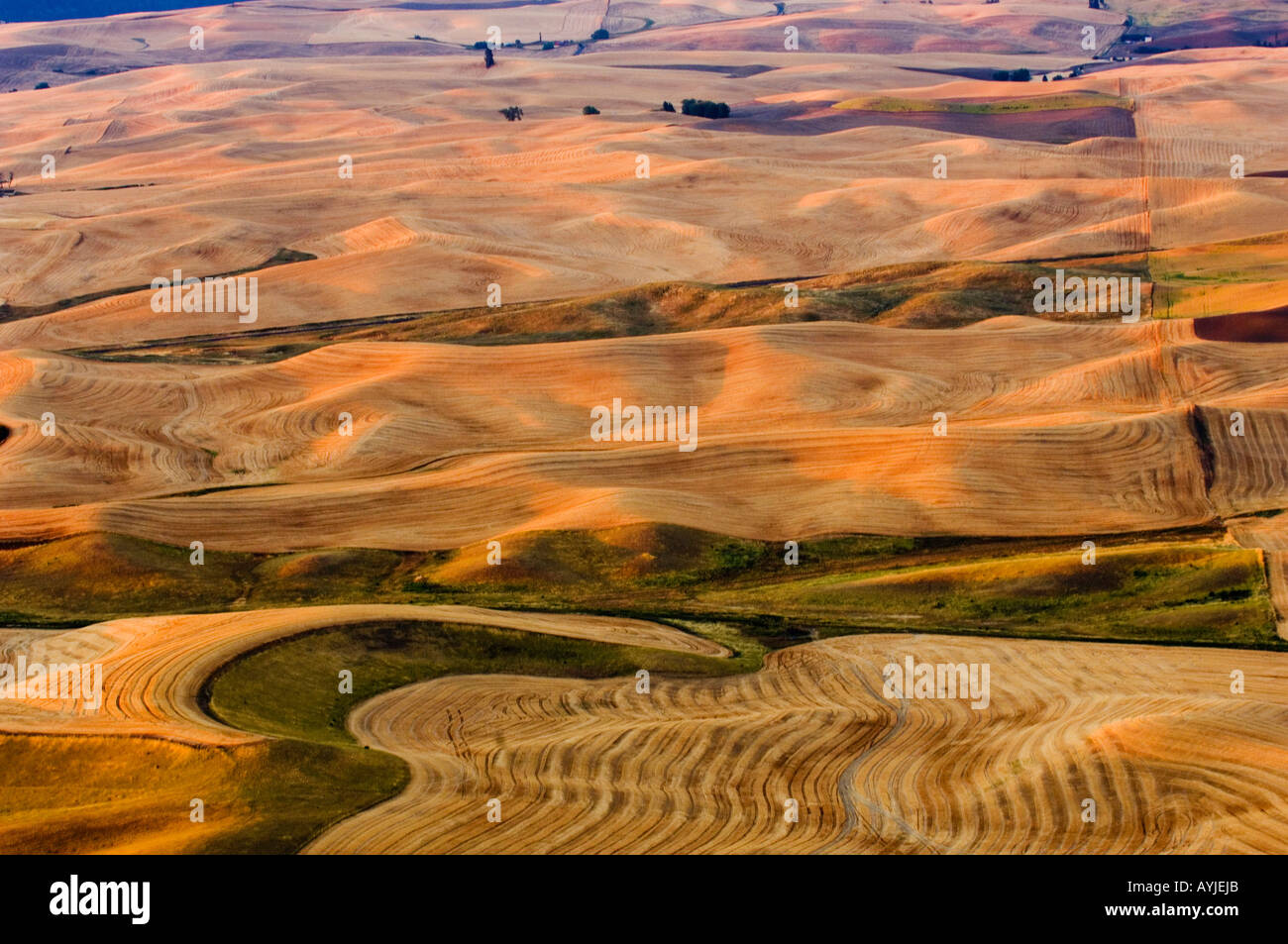 Rolling wheat field palouse hi-res stock photography and images - Alamy