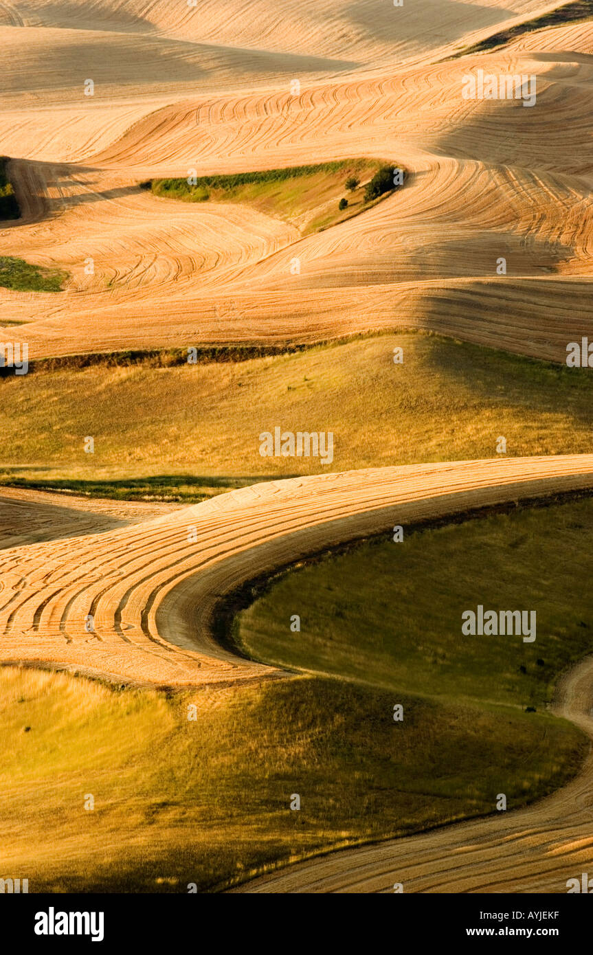 Cutting fields pattern hi-res stock photography and images - Alamy