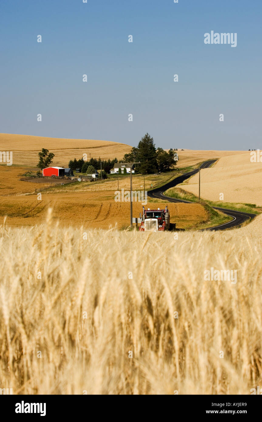 WHEAT FIELDS OF PALOUSE EASTERN WASHINGTON STATE USA Stock Photo - Alamy