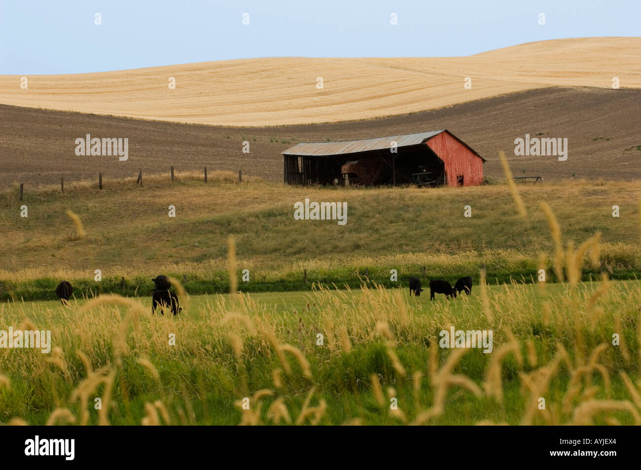 Washington state farming hi-res stock photography and images - Alamy