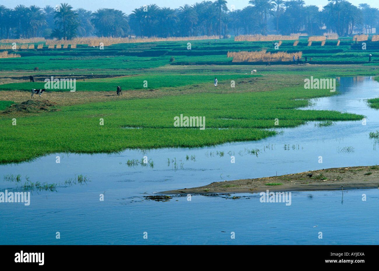 Nile farming hi-res stock photography and images - Alamy