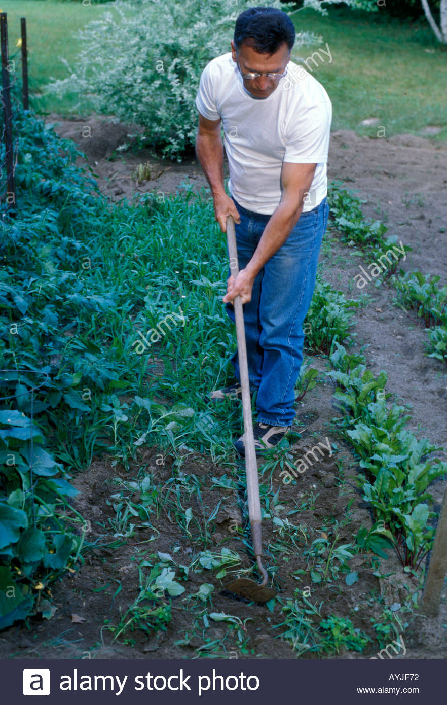 Hoeing Garden Stock Photos & Hoeing Garden Stock Images - Alamy