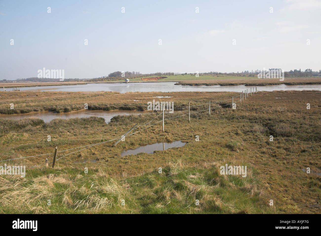 Salt marsh vegetation Butley Creek, Suffolk, England Stock Photo - Alamy