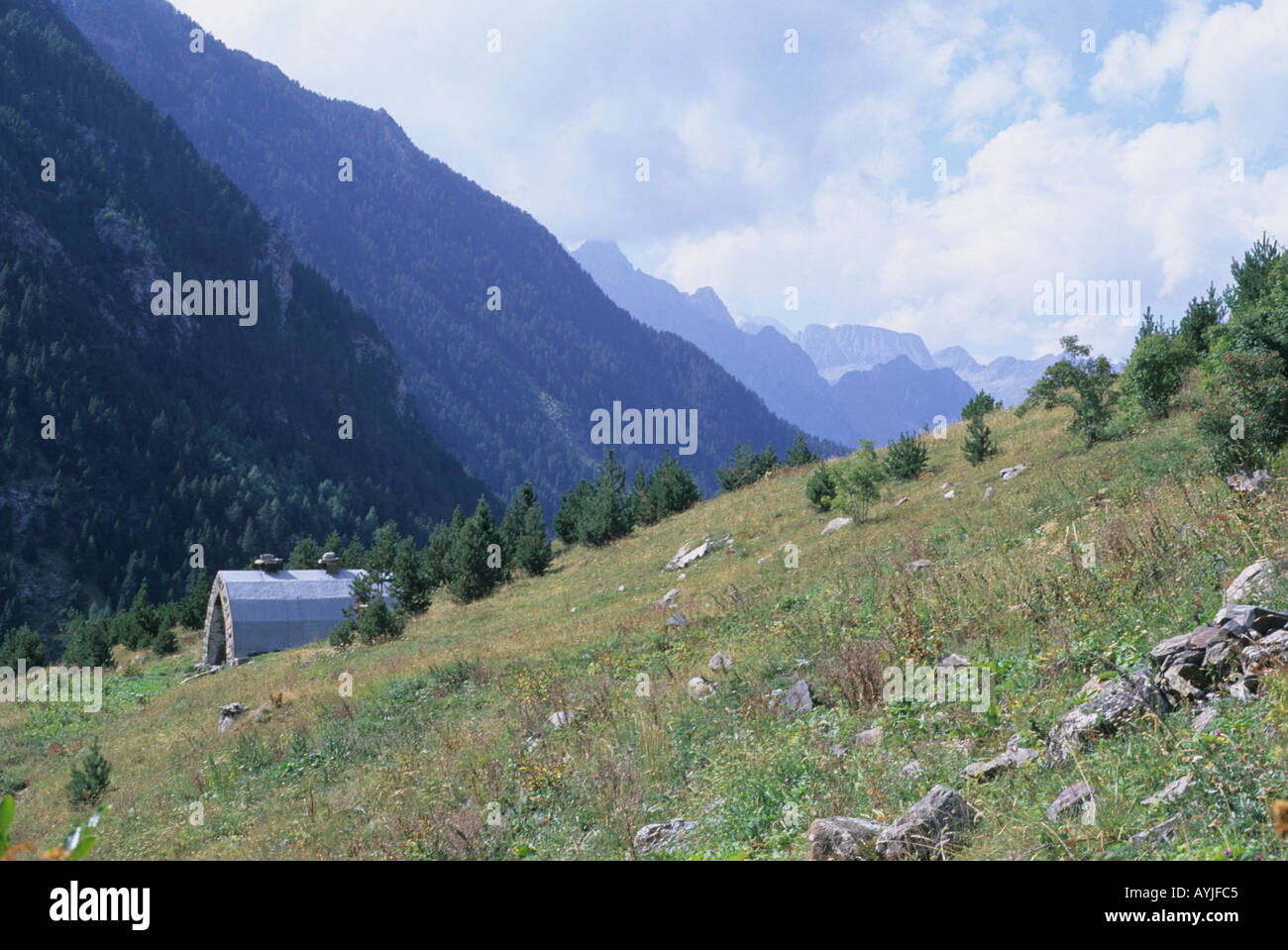 Quillon hi-res stock photography and images - Alamy